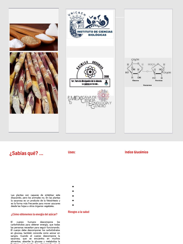 Saca Rosa | PDF | Sacarosa | Azúcar
