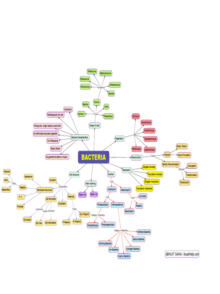 Bacteria Biology Mindmap Biological Classification | PDF | Bacteria | Cell (Biology)