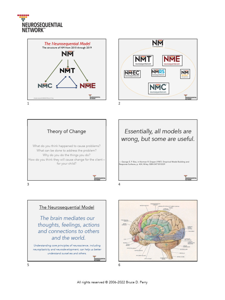 Intro To Neurodevelopmental Model Assessment Cognitive NMT | PDF ...
