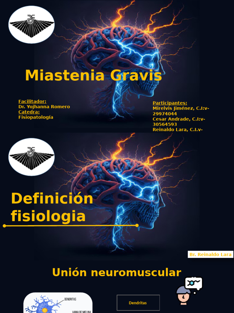 Miastenia Gravis Presentacion Final 2.0 | PDF | Unión neuromuscular ...