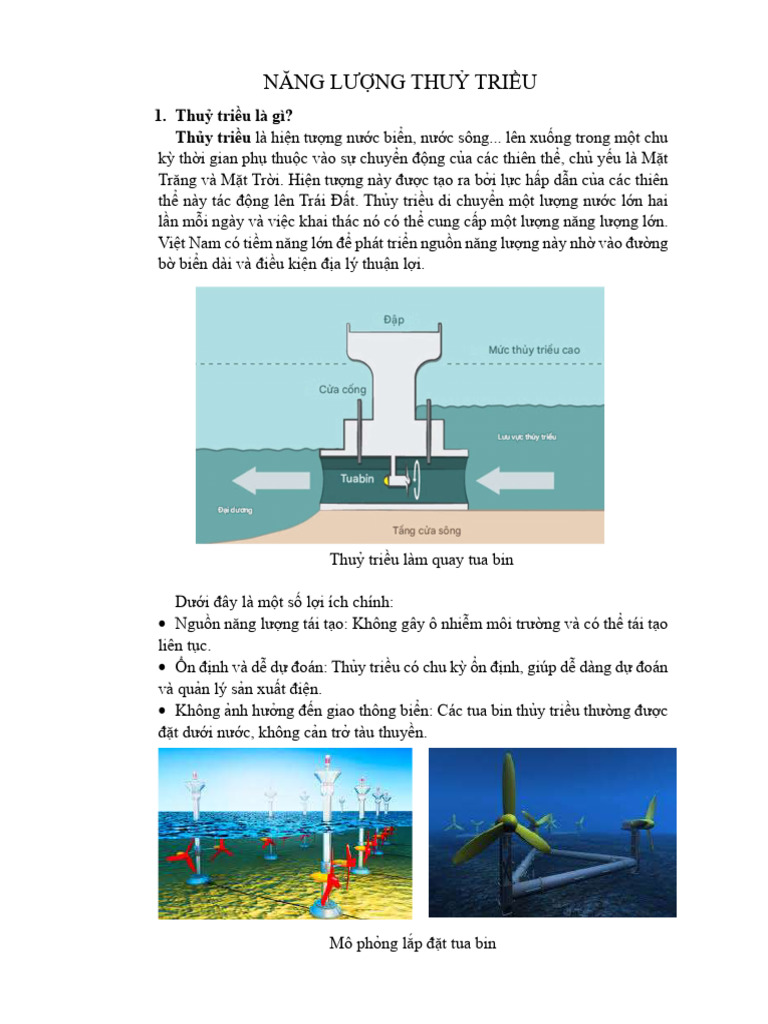 Nang Luong Thuy Trieu | PDF