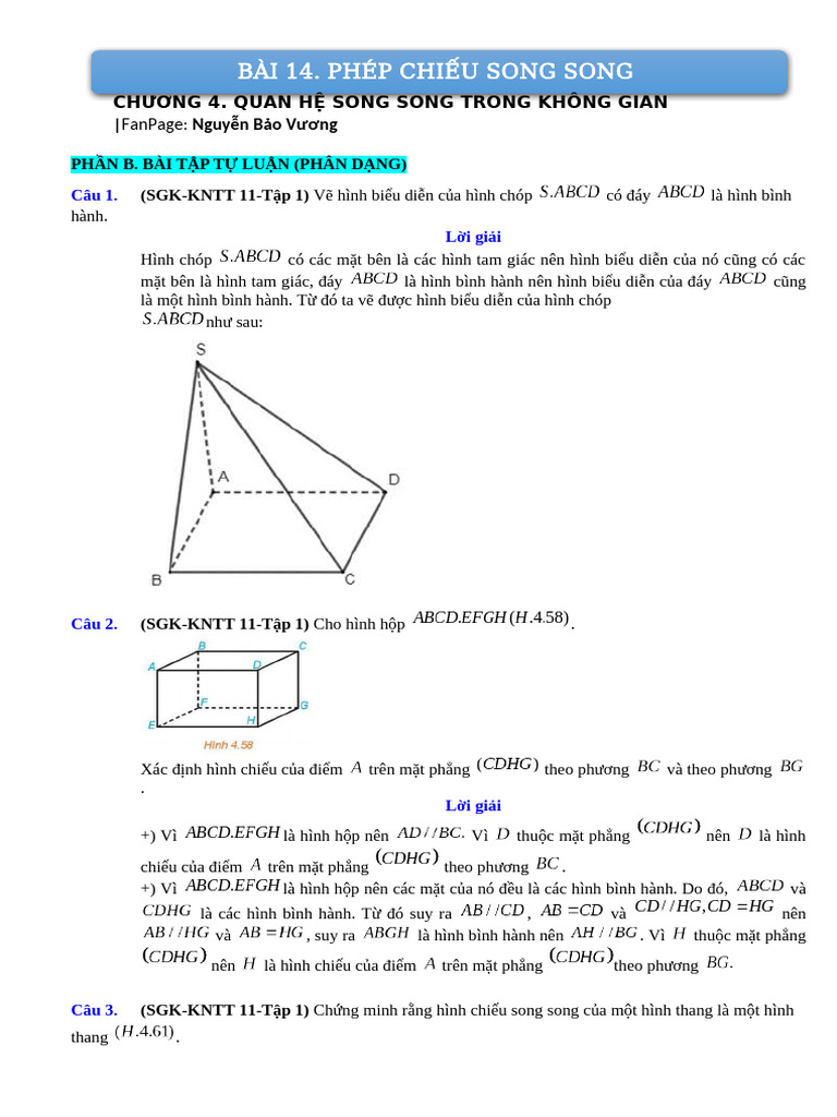 C4 - Bài 14 Phep Chieu Song Song DA | PDF