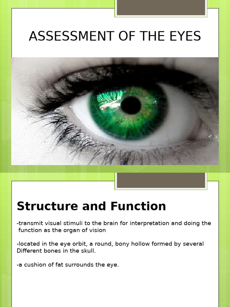 ANATOMY-OF-THE-EYE-1 | PDF | Eye | Visual Acuity