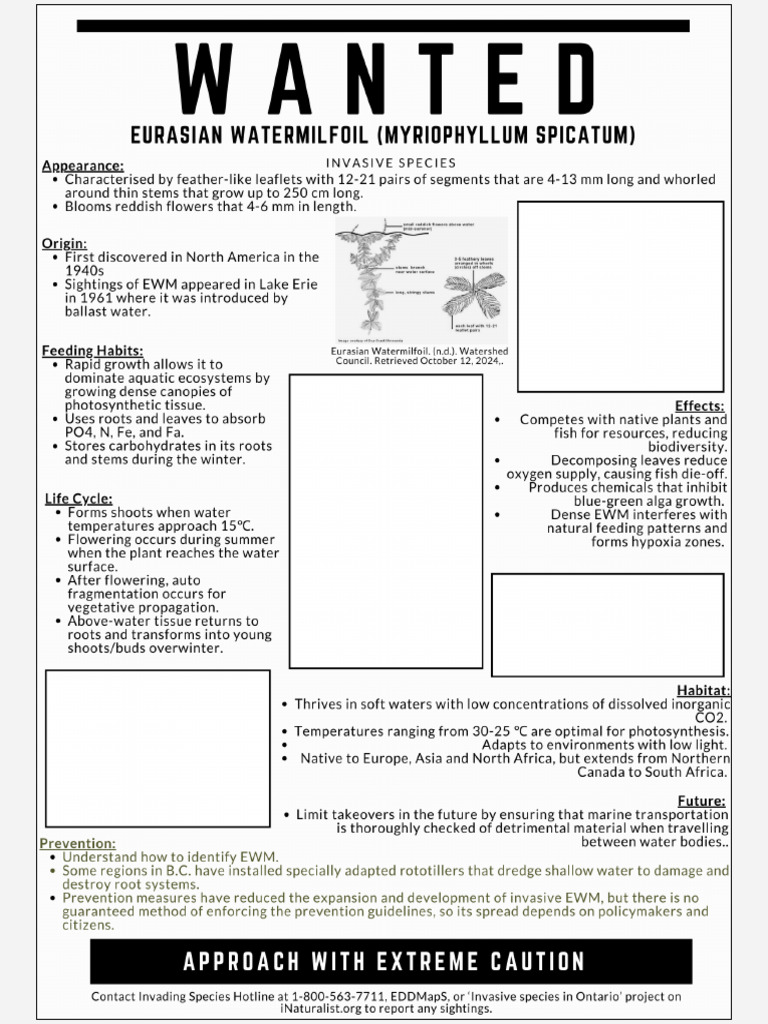 Invasive Species Poster Template | PDF