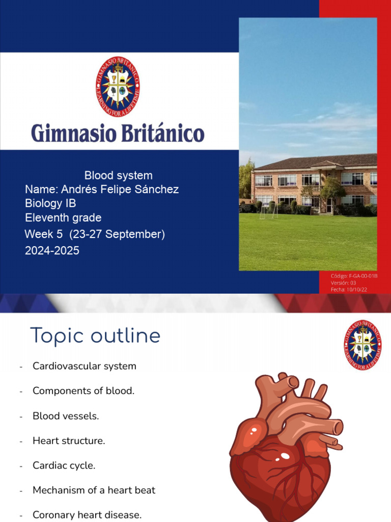 1P Week 5 Teacher Material 11° | PDF | Heart | Atrium (Heart)