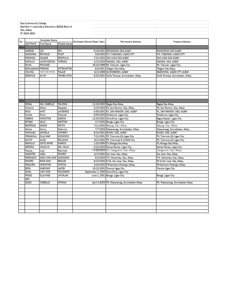 Basic Information Data Template AY 2024-2025 | PDF