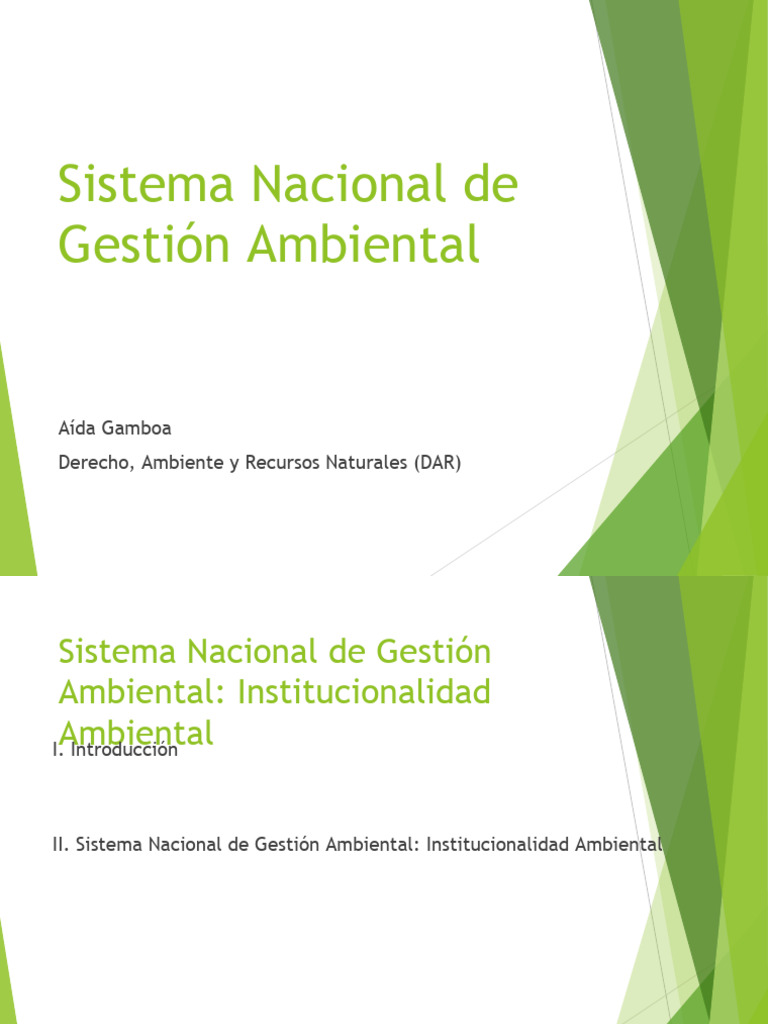 9 Sistema Nacional de Gestión Ambiental | PDF | Desarrollo sostenible ...