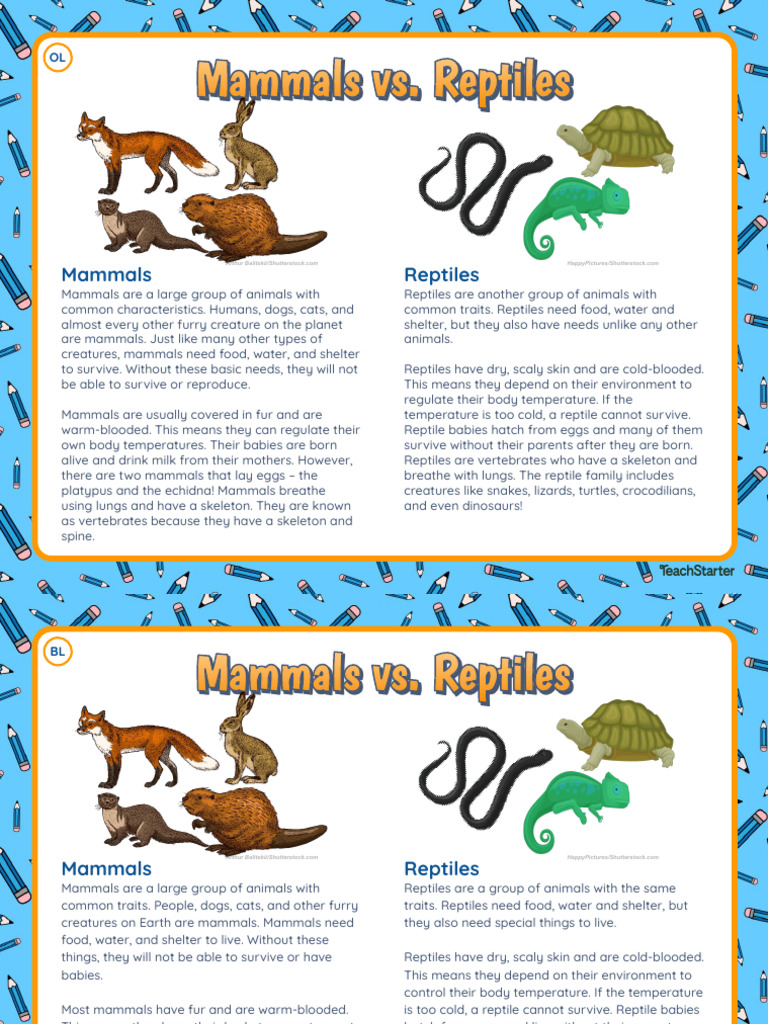 Mammals and Reptiles: Key Differences | PDF | Reptile | Mammals