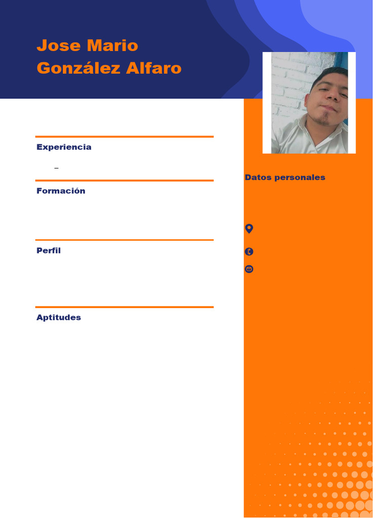 Currículum de Jose Mario González Alfaro | PDF