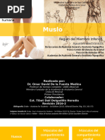 Disección del Muslo Posterior | PDF | Rodilla | Anatomía del miembro ...