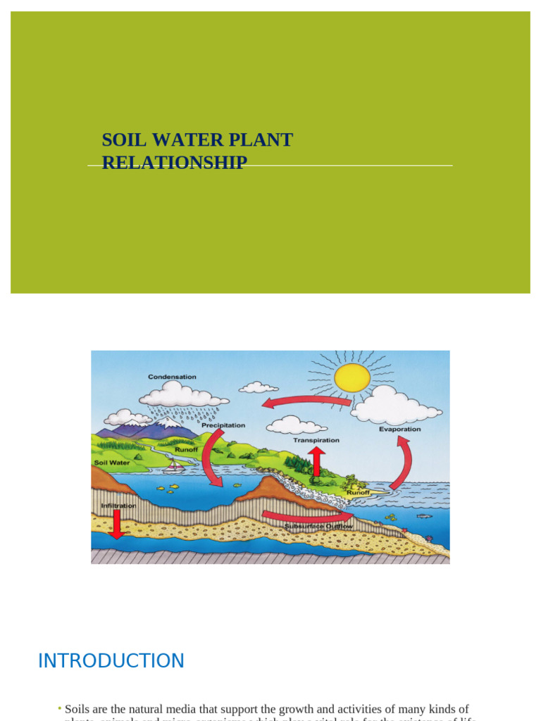 Soil Plant Water | PDF | Soil | Root