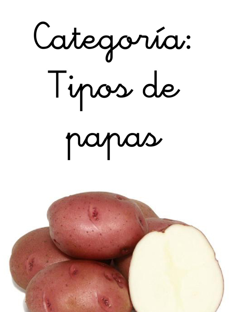 Tipos de Papas | PDF | Patata