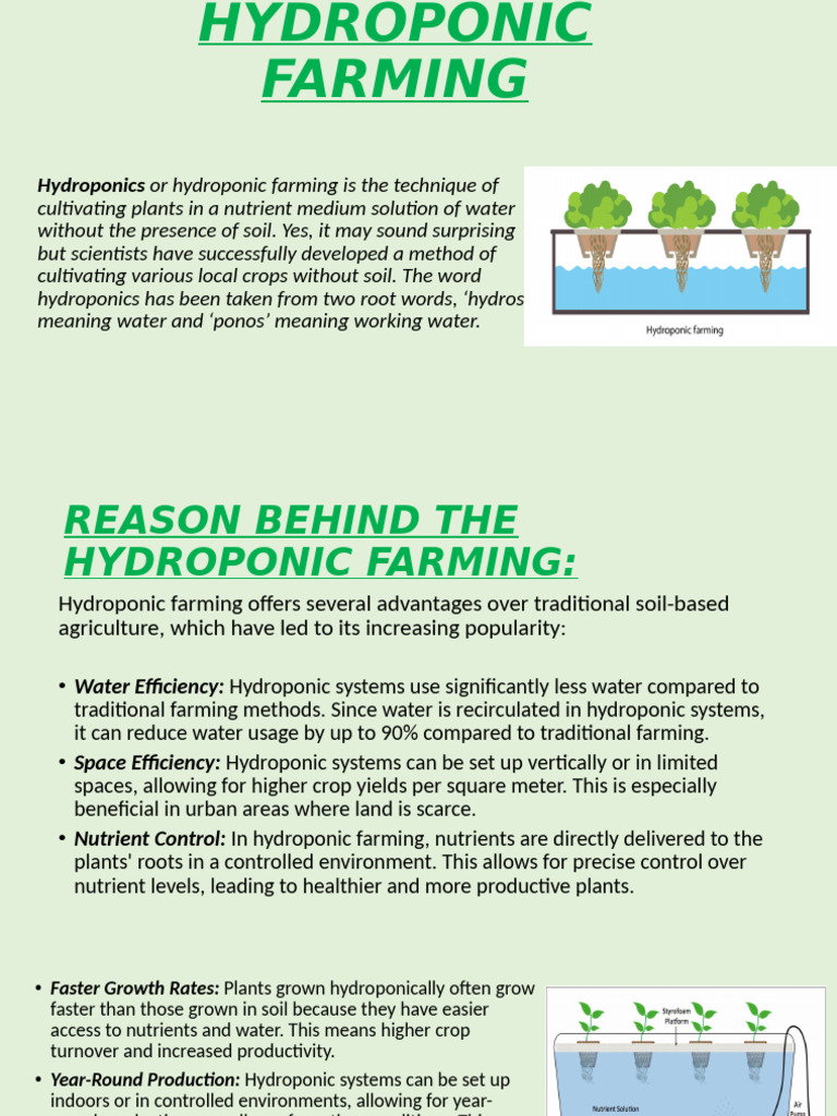 Hydroponic Farming Pdf Hydroponics Agriculture