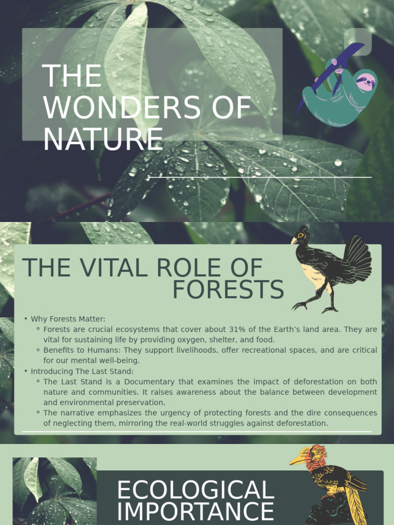 Forests: Vital Ecosystems & Conservation | PDF | Climate Change ...