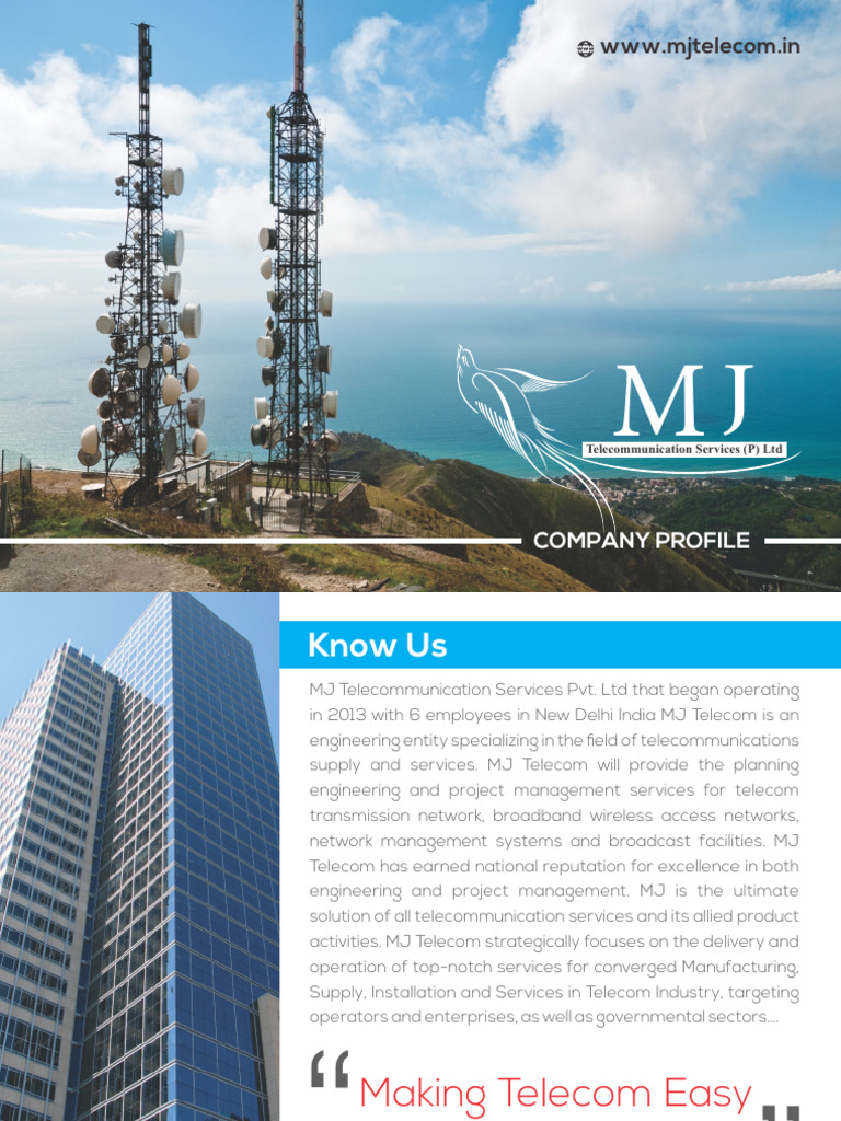 Profile 2 | PDF | Telecommunications | Business
