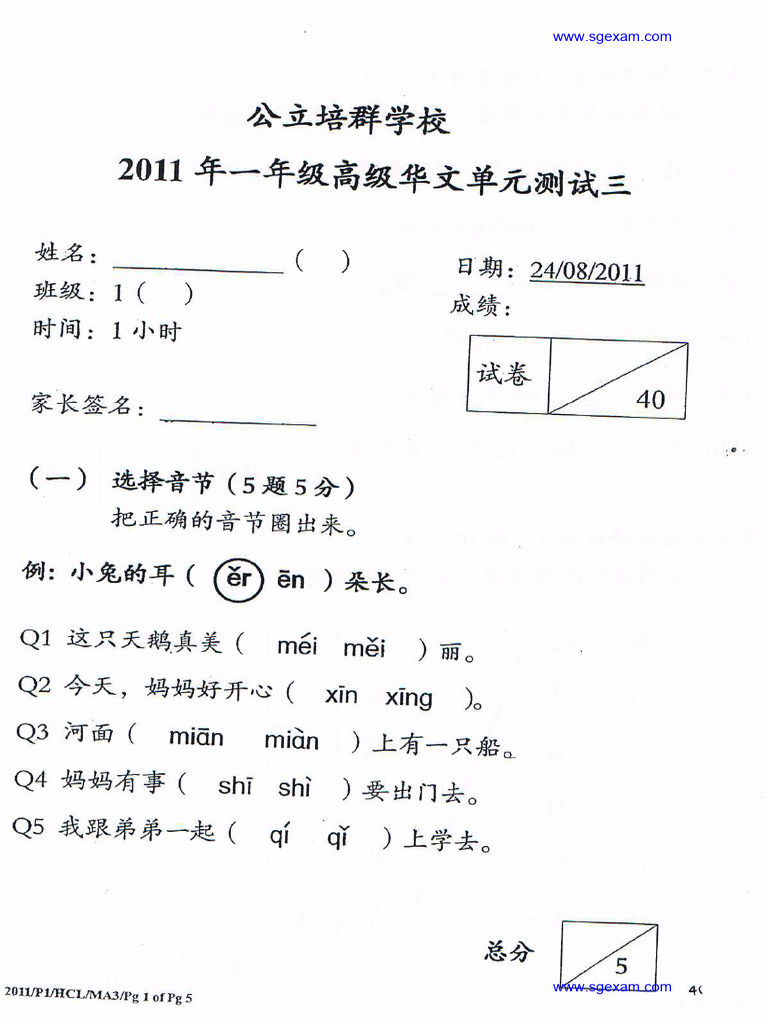 2011-P1-Chinese-CA2-Pei Chun | PDF