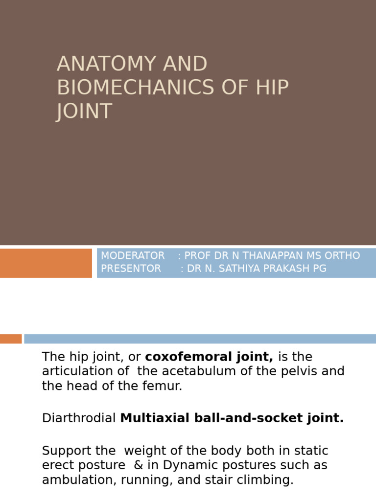 Anatomy and Biomechanics of Hip Joint | PDF | Hip | Musculoskeletal System