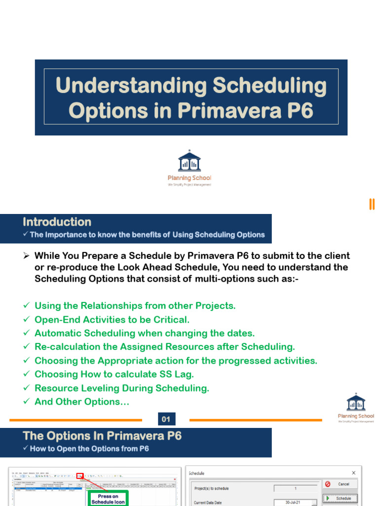 Understanding Scheduling Options in P6 | PDF | Computing | Software