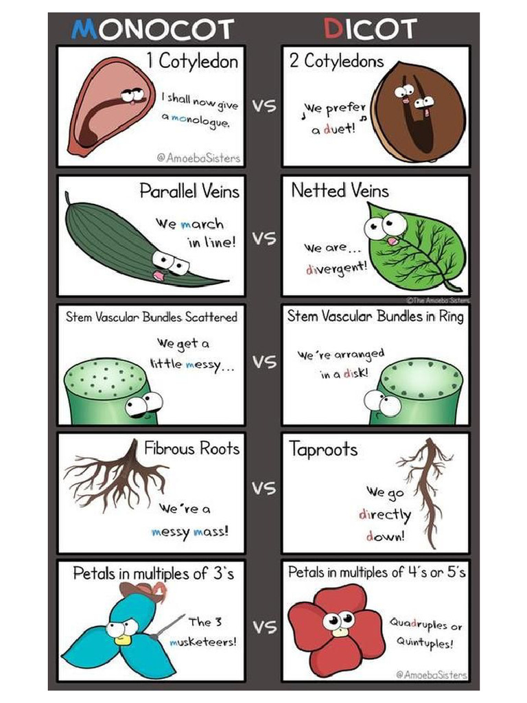 Paramecium Parlor Comics | PDF