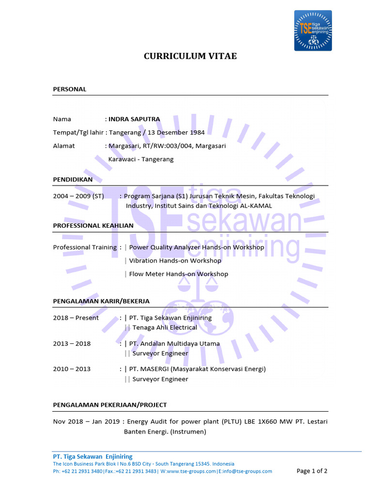 TSE - CV - Indra Saputra - Surveyor | PDF