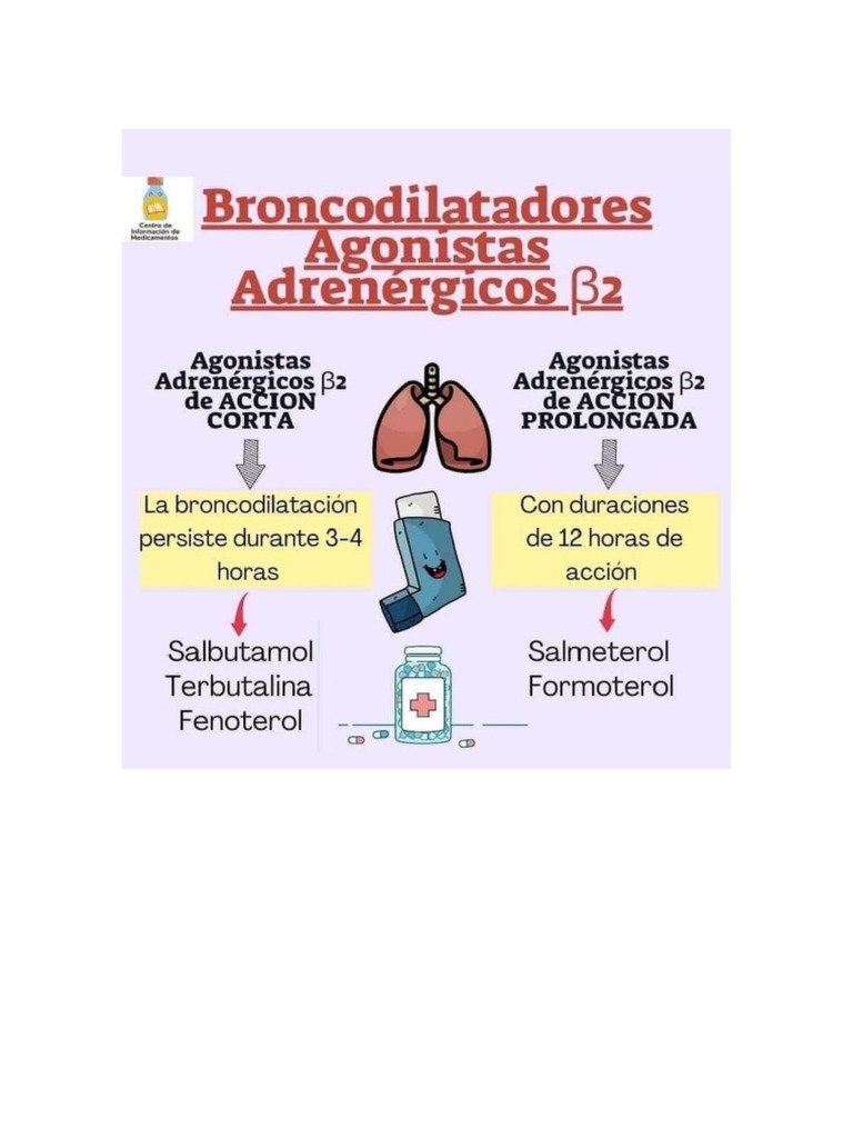 Bronco | PDF