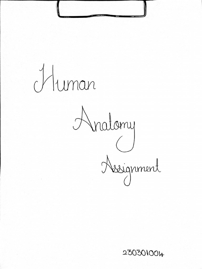 Anatomy Assingment - Compressed | PDF