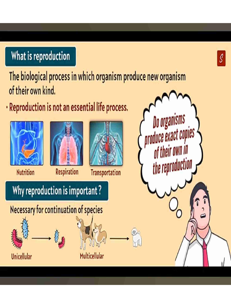 Science Class 10 Reproduction Chapter | PDF