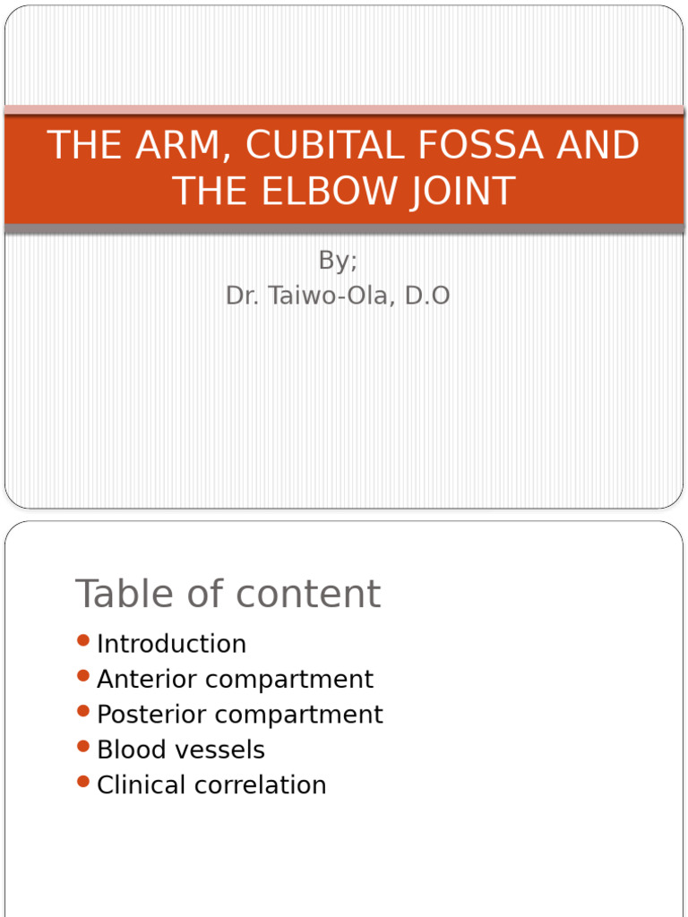 The Arm, Cubital Fossa and ElbowDr. Taiwo-Ola - 111849 | PDF | Arm | Elbow