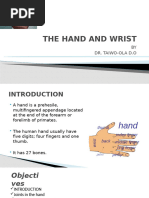 Palmar Hand Anatomy Overview | PDF | Hand | Musculoskeletal System