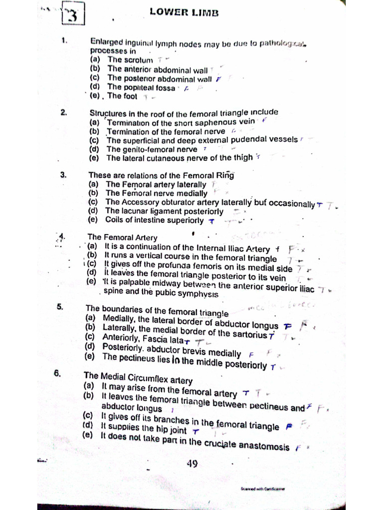 Anaquest Lower Limb | PDF