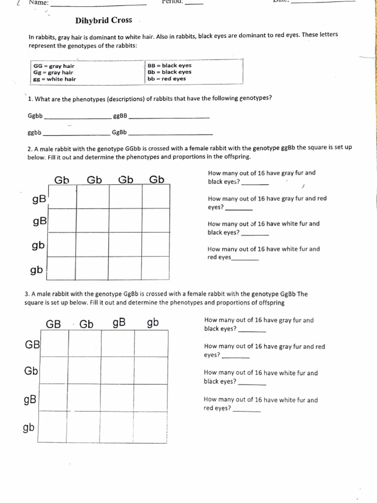 Practice Problems Heredity | PDF | Genotype | Zygosity