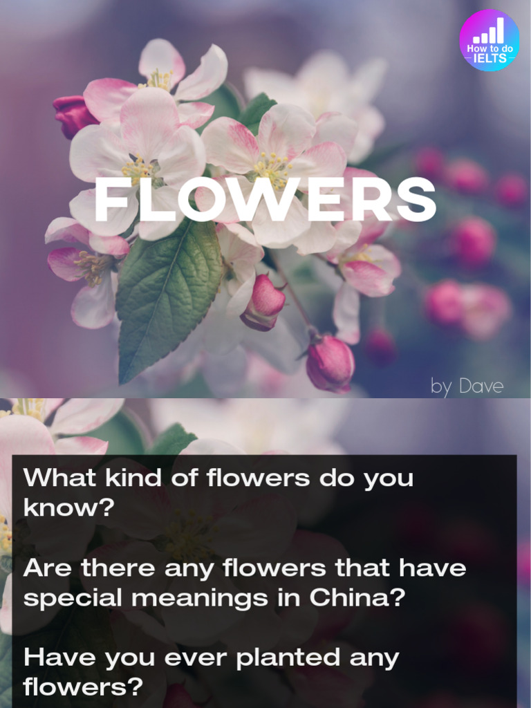 Flowers in Chinese Culture and Personal Experiences | PDF | Flowers ...