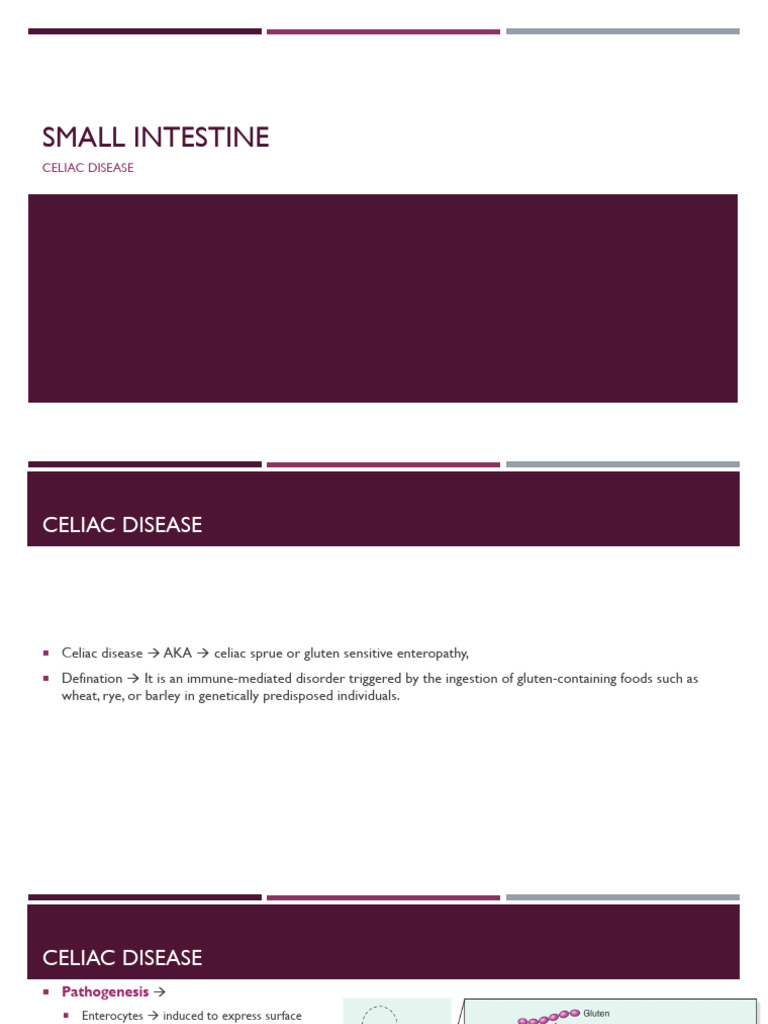 Small Intestine | PDF | Crohn's Disease | Coeliac Disease