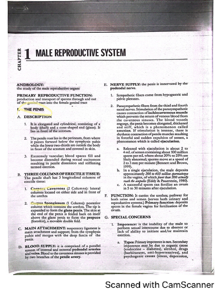 Male Rep | PDF