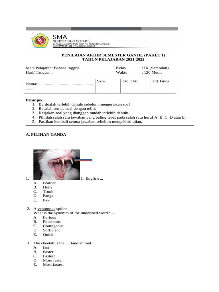 Soal PTS 9 reguler | PDF | Elephant | Organisms