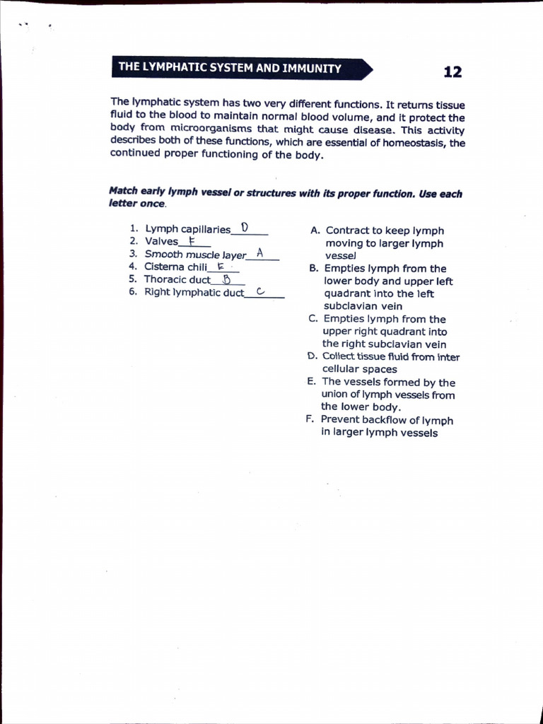 DLab Activity 12 | PDF