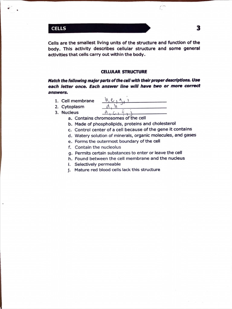 DLab Activity 3 | PDF