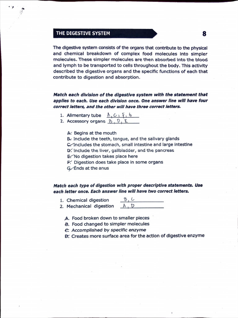 DLab Activity 8 | PDF