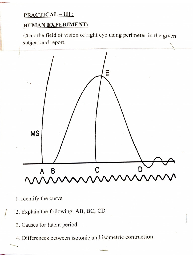 Amphibian Chart | PDF