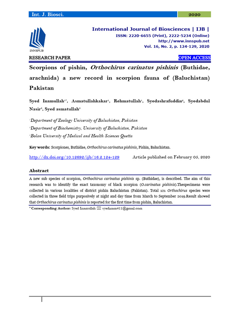 Scorpions of Pishin, Orthochirus Carinatus Pishinis (Buthidae ...