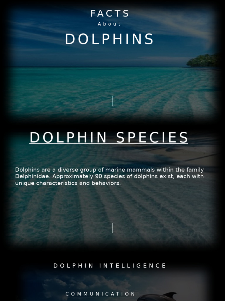 Dolphins | PDF