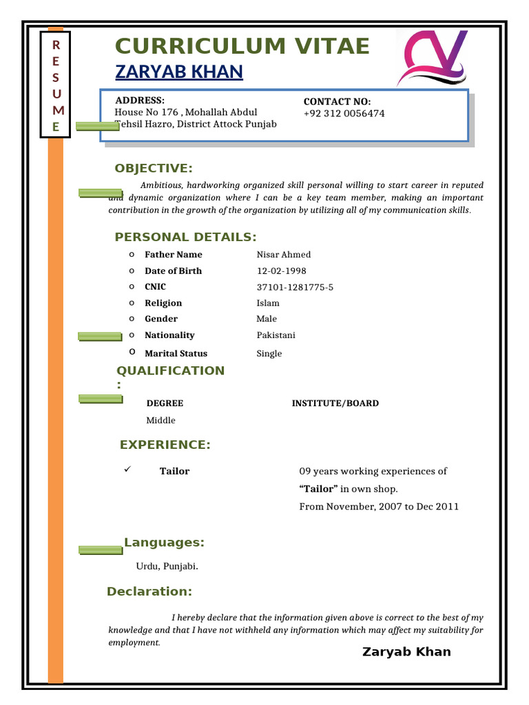 Zaryab Khan CV | PDF | Career & Growth