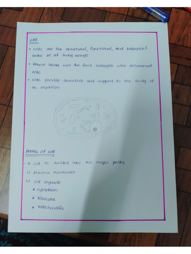 Assignment Cell Pdf 