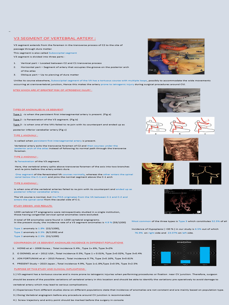 Poster Final | PDF | Vertebra | Human Anatomy