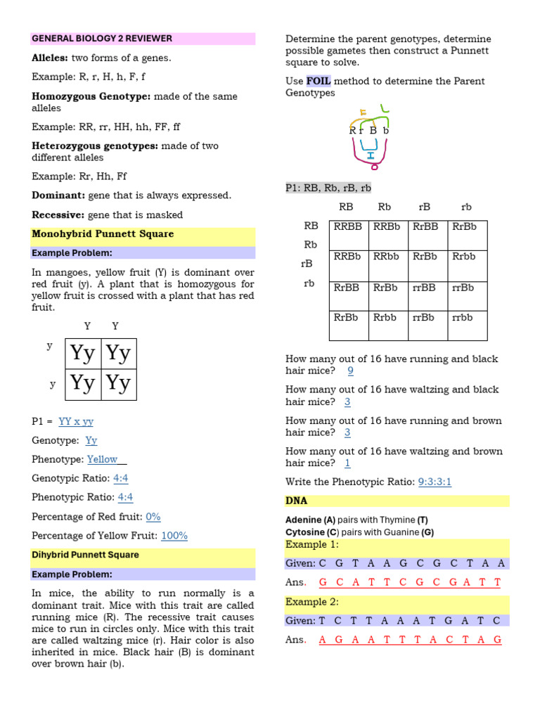 Gen Bio 2 Q2 Reviewer | PDF | Dominance (Genetics) | Genotype