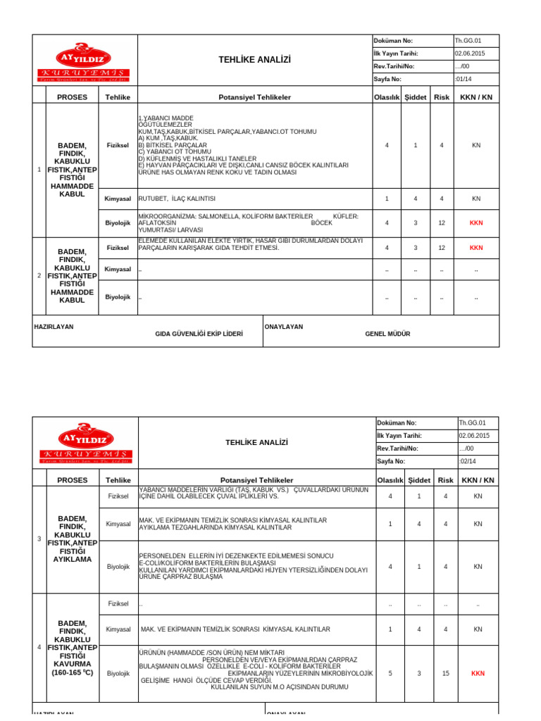 TH - gg.01 Tehlike Analizi | PDF