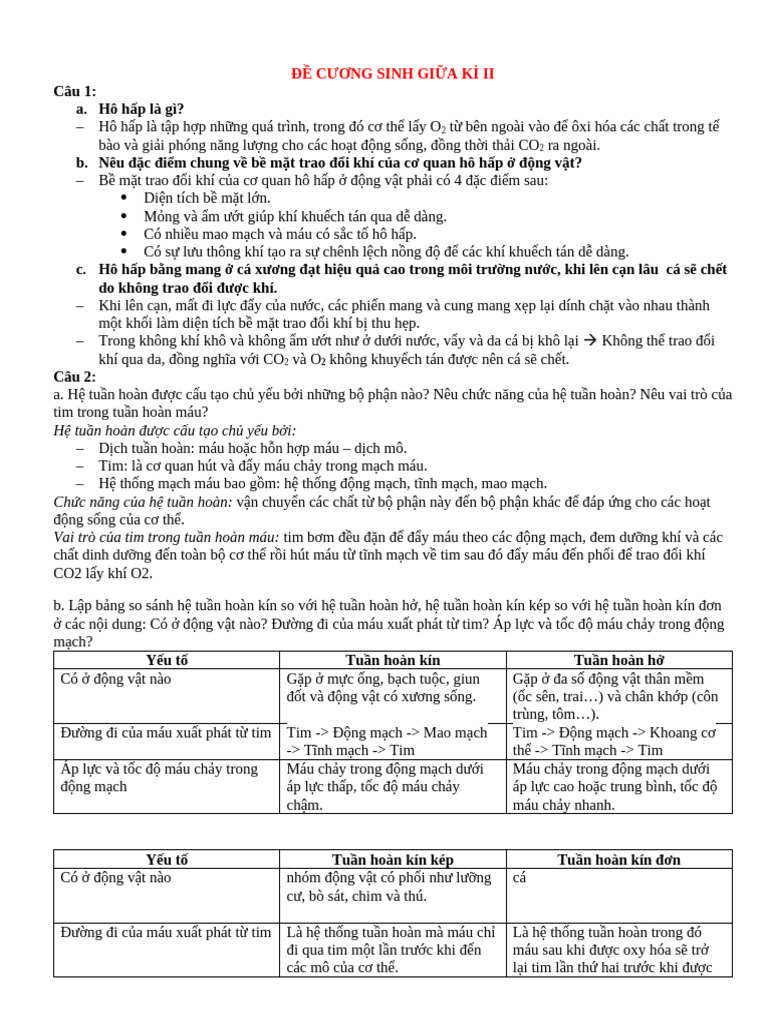 11D1 - Sinh Gkii | PDF