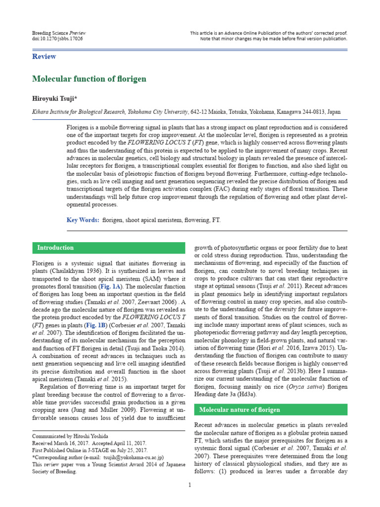 TRIỀU - Molecular function of florigen | PDF | Genetics | Biology