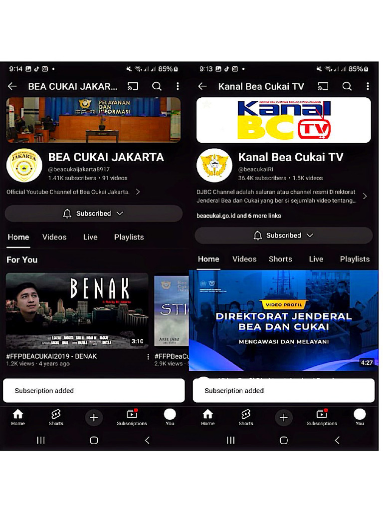 Bukti Follow - Nadine Rameyza Alya | PDF