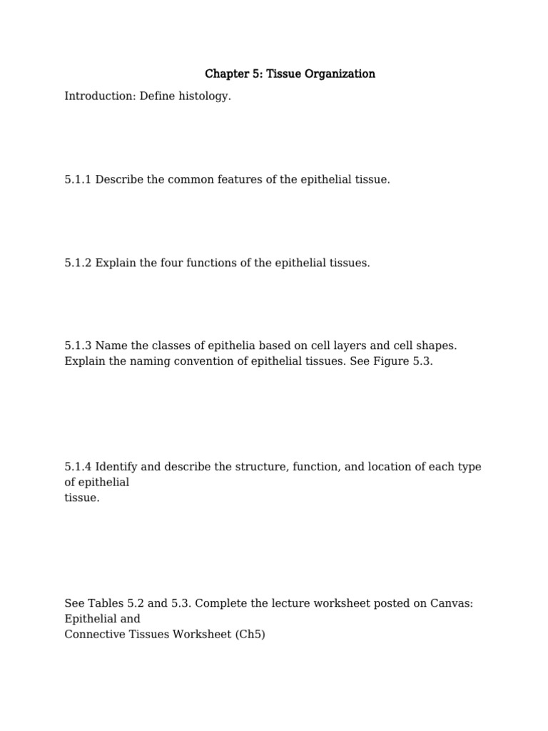 Chapter 5 Review | PDF